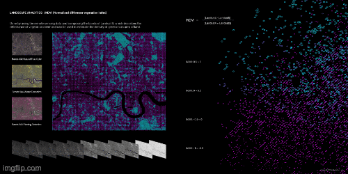 AI + Text-based Data – NatureAI Lab